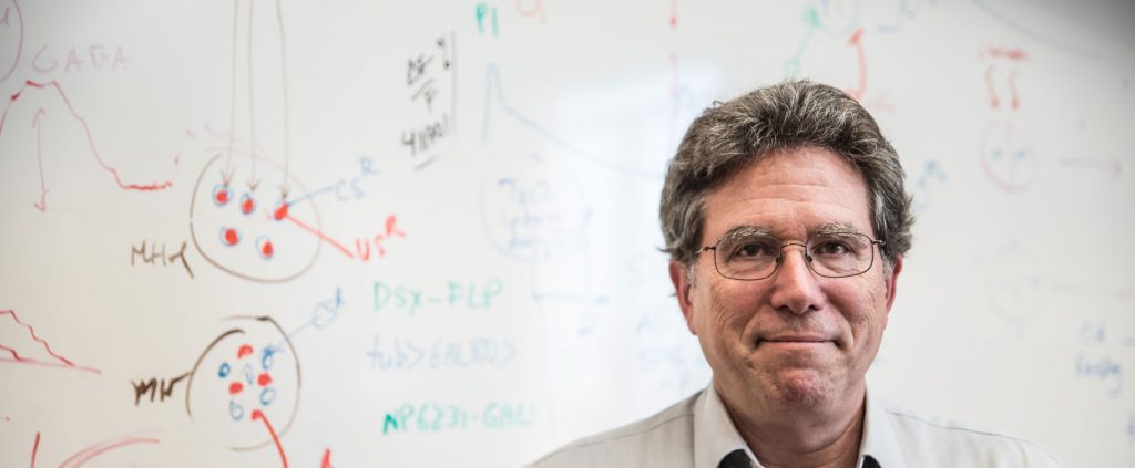 David Anderson Awarded 2018 Scolnick Prize – Tianqiao & Chrissy Chen ...