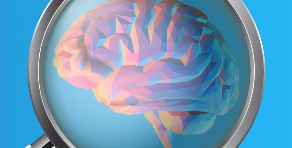 Watch and Learn: Study Shows How Brain Gains Knowledge Through ...