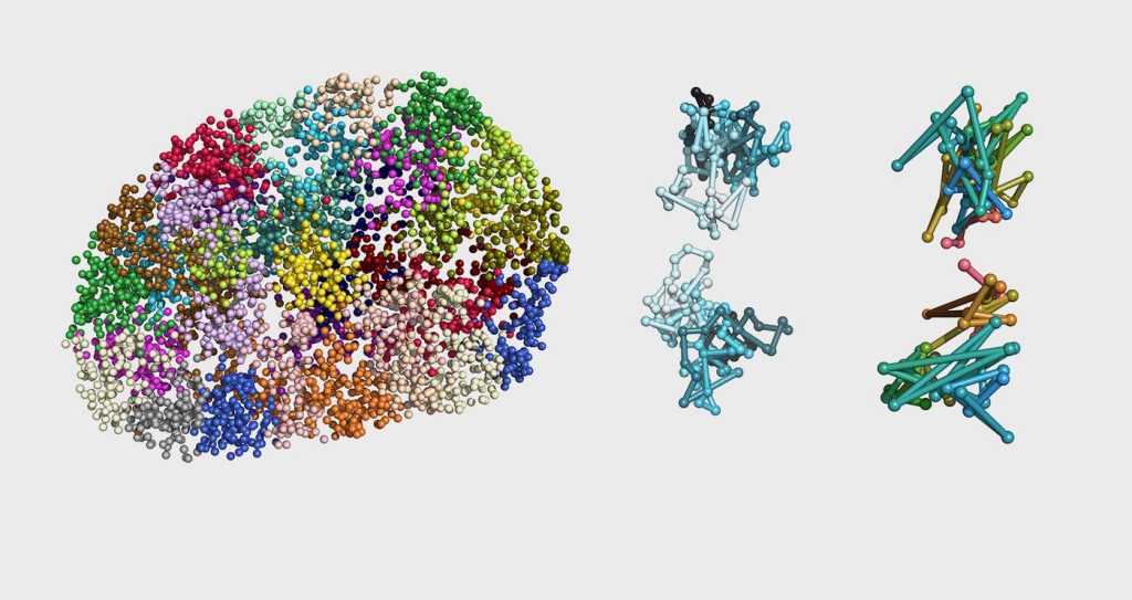 “Nuclear Physics”: Imaging into the Heart of a Cell – Tianqiao ...