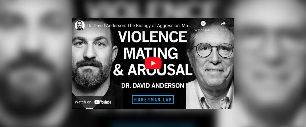Huberman Lab Podcast interviews David Anderson about the biology of ...
