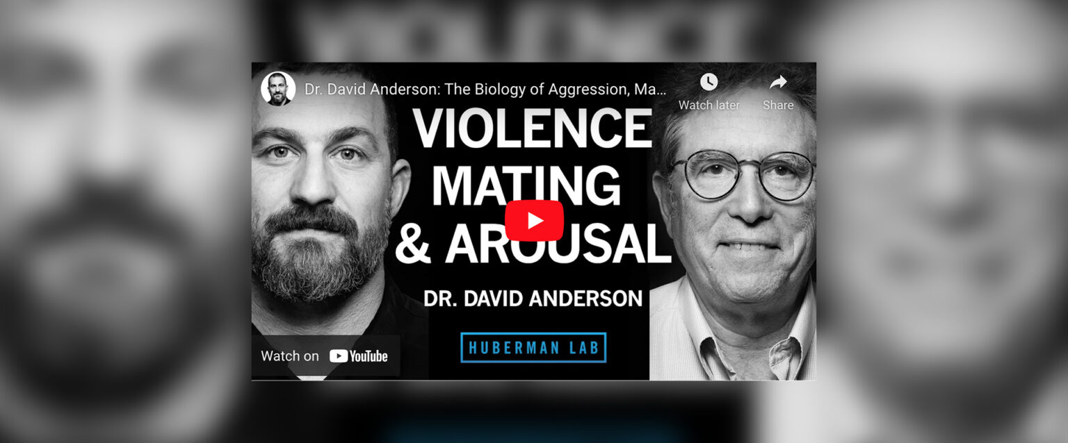 Huberman Lab Podcast interviews David Anderson about the biology of ...