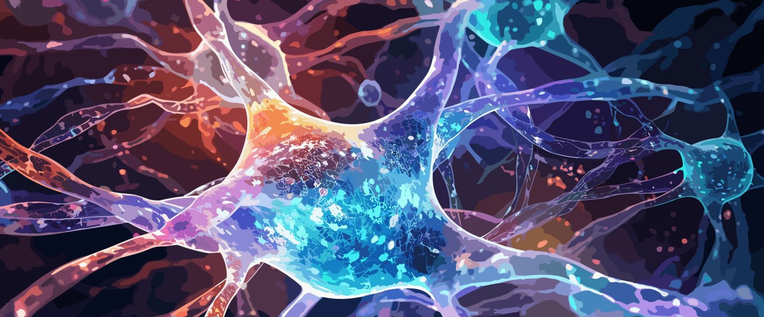 Spatio Temporal Evolution Of Human Neural Activity During Visually Cued